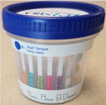 CRL STAT 10-PANEL RAPID URINE TEST | Sun City Drug Testing DME